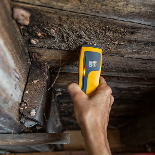 Visual Mold Inspection – My Blog