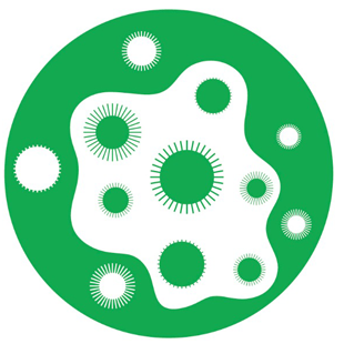 Understanding the Menace of Black Mold - Green Guard Mold Remediation ...